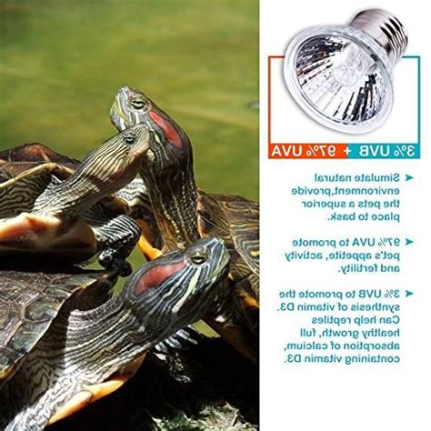 Ctkcom W Uvb Light Uva Bulb Halogen Basking