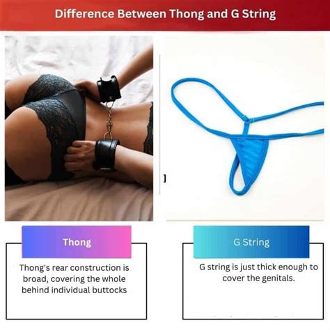 Tanga Vs Tanga Diferencia Y Comparación
