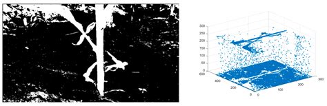 Agriculture Free Full Text Maize Stem Contour Extraction And