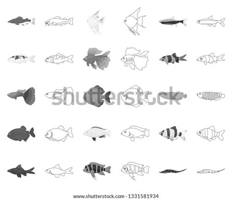 Different Types Fish Monochromeoutline Icons Set Stock Vector Royalty
