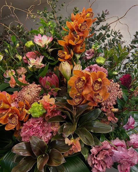 フラワーバード 2024214 公式lineをはじめます。 Lineehb4ylu8 こちらでは Instagramと少しだけ内容をかえて ご案内したいと思っており