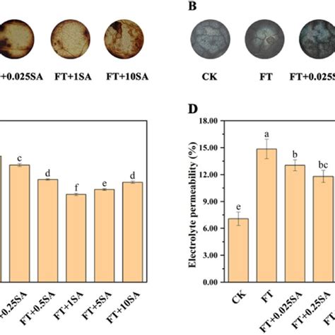 Effects Of Sa On Dab Staining A Nbt Staining B Mda Content C Download Scientific