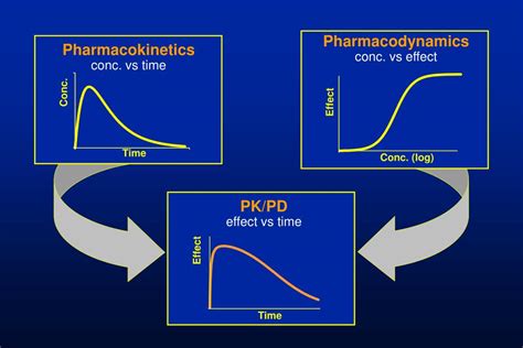PPT Kill Curve Analysis PowerPoint Presentation Free Download ID 4612152