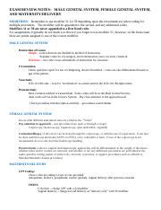 Exam Review Male And Female Genital Systems Maternity Course Hero