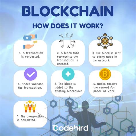 codebird wearecodebirds blockchain blockchaindevelopment crypto web3 solana solidity