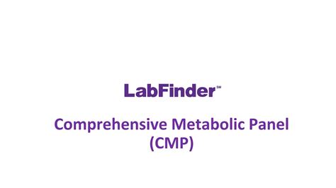 Comprehensive Metabolic Panel CMP PDF