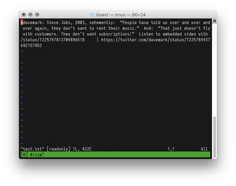Some Long Lines In Vim Are Wrapping Incorrectly With Tmux 31b · Issue