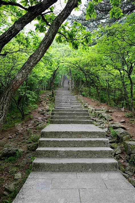 通往远方的路素材 花瓣网