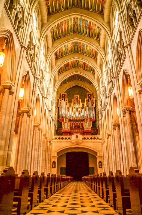 10 Complexity And Order Rootedinnature