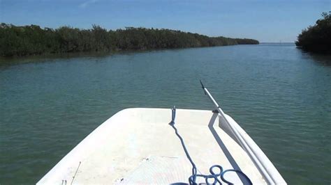 Crocodile Dragover Youtube