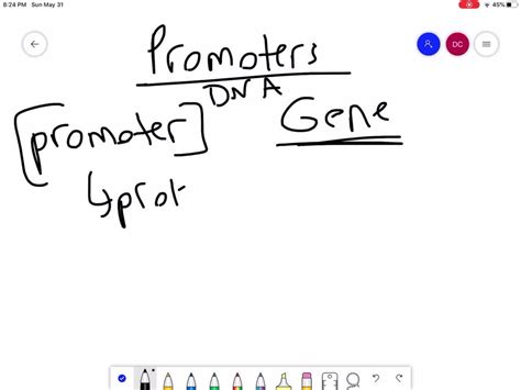 Solved Which Feature Of Promoters Can Be Found In Both Prokaryotes And