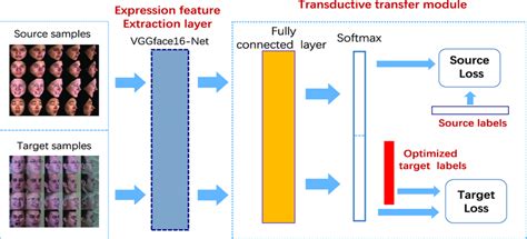 The Training Flow Chart Of The Proposed Deep Transductive Transfer Download Scientific Diagram
