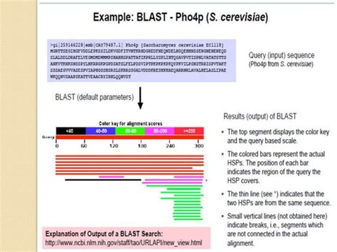 Blast Basic Local Alignment Search Tool Pptx Blast Basic Local Alignment Search Tool Pptx