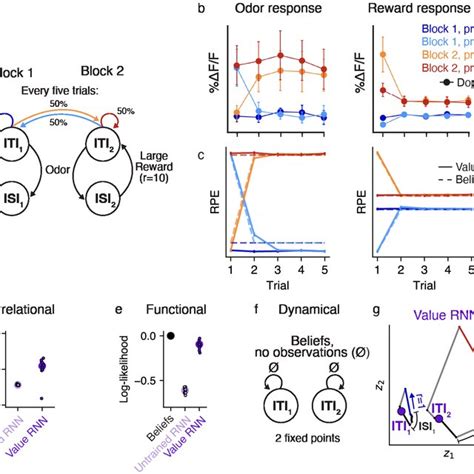 Value Rnns Trained On Babayan Et Al 10 Reproduce Belief Rpes And