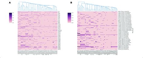 Hierarchical Clustering Of Nucleotide And Amino Acid Mutations In 42 Download Scientific