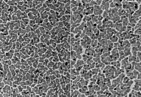 利用直流磁控溅射镀膜仪改进hr Sem用金属薄膜 学习与分享 徕卡显微系统