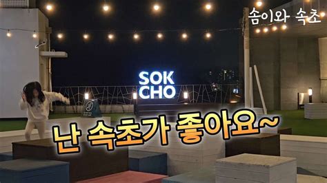 속초와 하양 고양이 Youtube