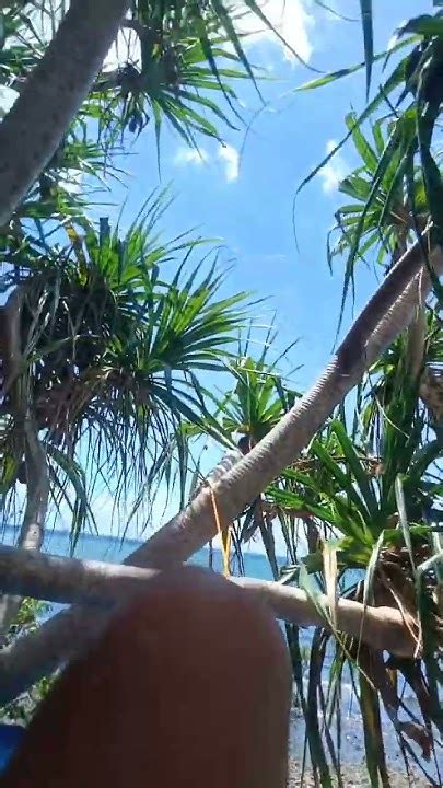 Ocean View Youtube