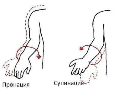 Пронация, Гиперпронация, Супинация