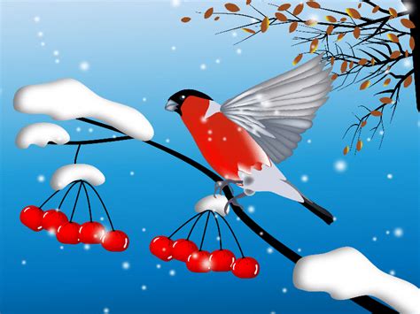 Moho Pro Designs Themes Templates And Downloadable Graphic Elements On Dribbble