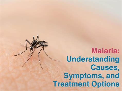 Malaria Symptoms Malaria