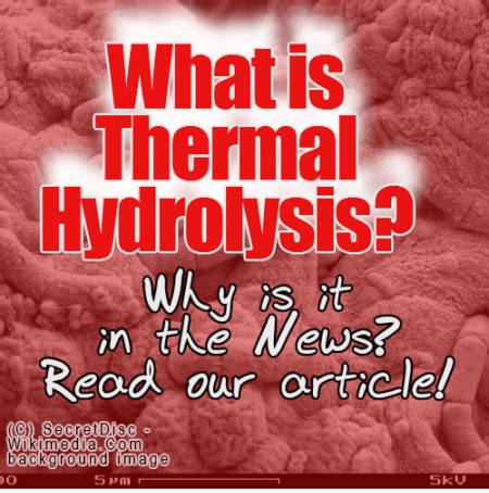 What Is Thermal Hydrolysis High Temperature Pressure Cell Rupture