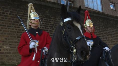 사진으로 보는 세계의 왕실 영국 왕실기병대 년 역사상 최초의 여성 대원 탄생 ZUM 뉴스