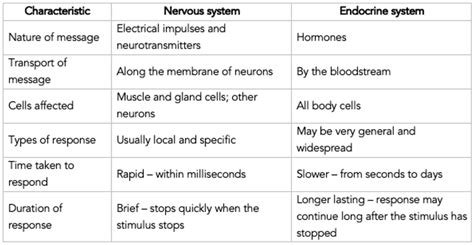 Comparing Hormonal And Nervous Control Elucidate Education
