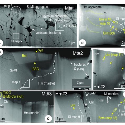 A Haadf Stem Image With Si Overlay Left And Stem Eds Element Maps