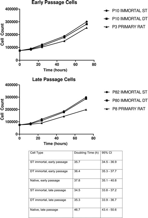 st and dt immortalized arachnoid cells show enhanced replicative
