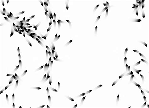 Boids By Farawaydrip30 Boids By Farawaydrip30