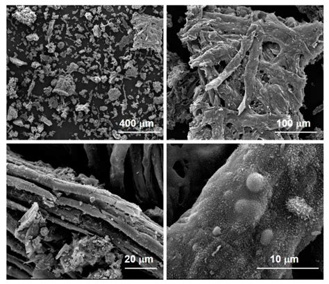 Pyrolysis And Gasification Of A Real Refuse Derived Fuel Rdf The Potential Use Of The