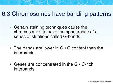 Ppt Chromatin And Chromosomes A Comprehensive Guide Powerpoint Presentation Id9095798