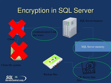 Ppt Comprehensive Guide To Encryption In Sql Server Primer Techniques And Best Practices