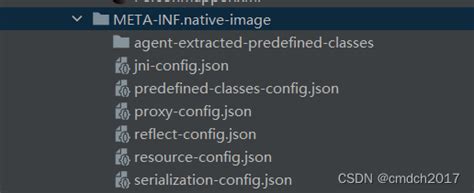 【趣玩一下】10倍提升启动的时间？graalvm打包springbootmybatis实测mybatis Graalvm Csdn博客