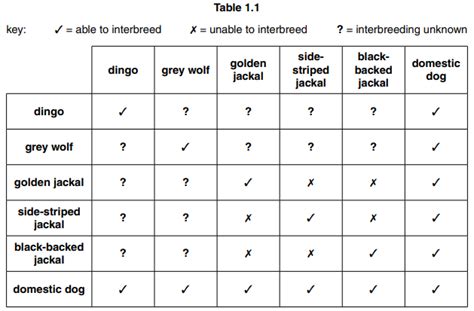 A Level Biology 18 1 Classification Exam Style Question Paper 4