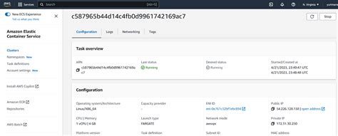 Tutorial Deploy Your Dockerized Application On Aws Intersystems