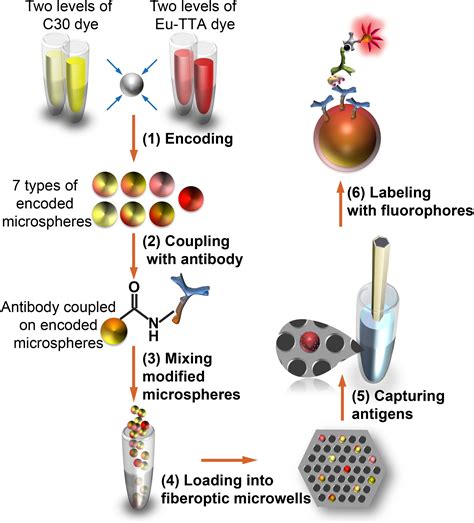 Multiplexed Fluorescent Microarray For Human Salivary Protein Analysis