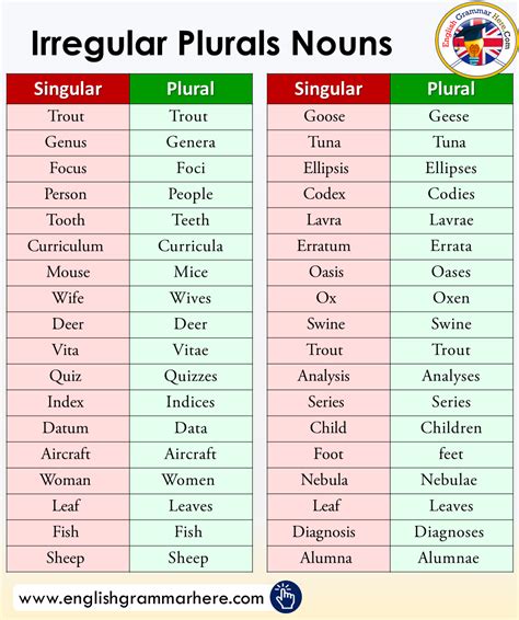 List Of Irregular Plural Nouns In English