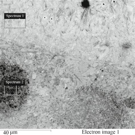 Sem Image Of The Microstructure Of The Fused On Layer And Of The Area Download Scientific