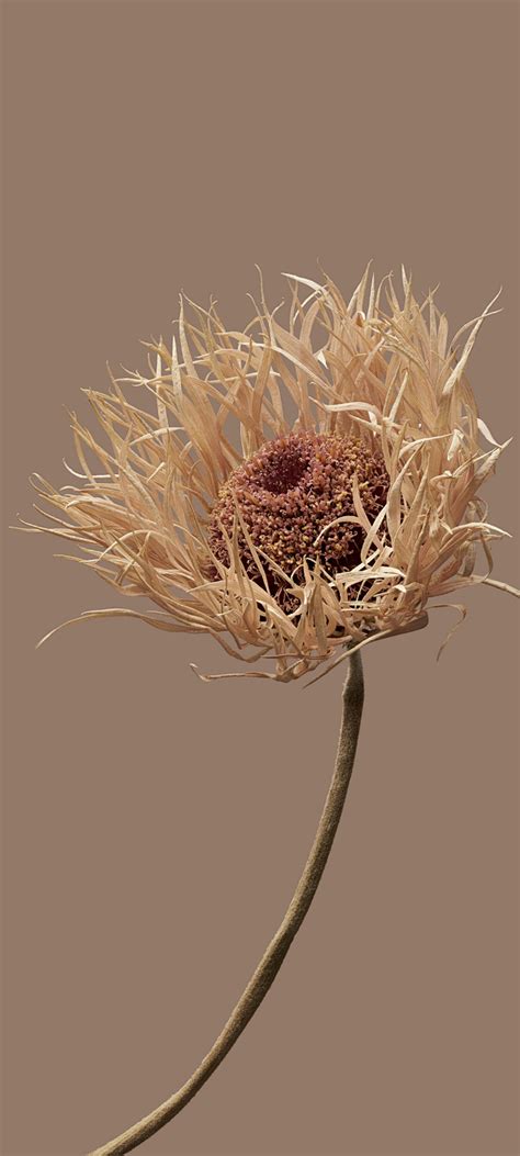 Hyperos澎湃os系统内置壁纸