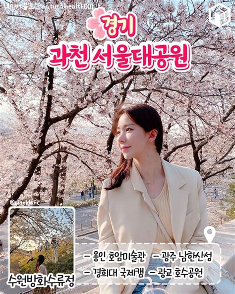 전국 2024 벚꽃 명소 추천 총정리