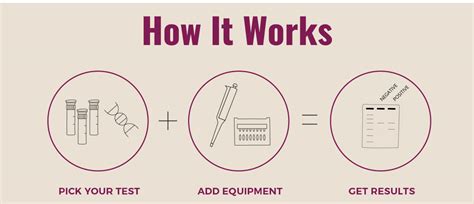 Zeewee I Bird Dna Sex Test Minipcr Dx