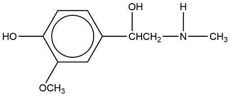Identify And Name The Following Functional Group Homework Study Com