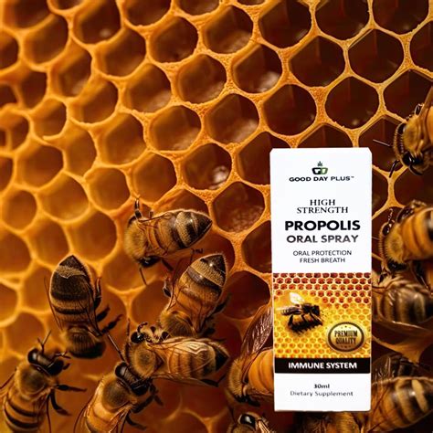 Propolis Oral Spray High Strength Good Day Plus