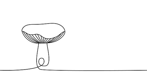 버섯 한 줄 연속 그리기 버섯 연속 한 줄 그림 벡터 미니멀리스트 선형 일러스트 레이 션 0명에 대한 스톡 벡터 아트 및 기타 이미지 Istock