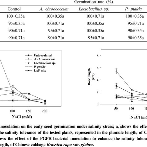 Effect Of Pgpr On Seed Germination Of Chinese Cabbage Brassica Rapa