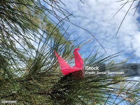 종이 접기 종이로 만든 크레인 나무의 가지 사이에서 볼 수 0명에 대한 스톡 사진 및 기타 이미지 0명 개념 경관 Istock