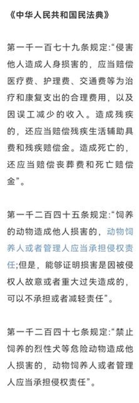 法在身边｜“狗咬人”，法院判决：狗主人赔偿178万余元
