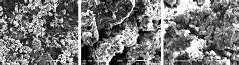 Synthesis And Characterization Of Conductive Polypyrrole The Influence Of The Oxidants And